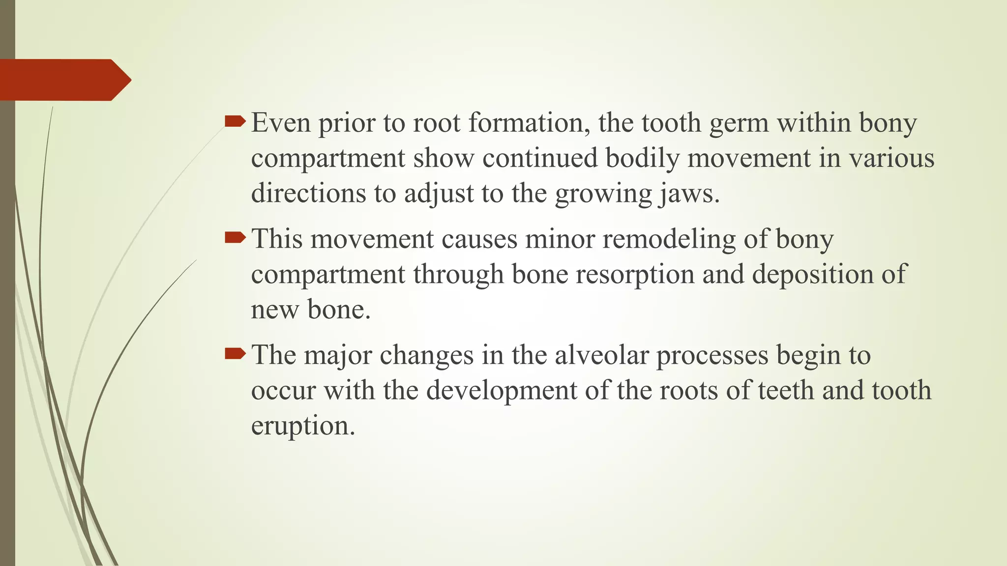 Development of periodontium | PPTX