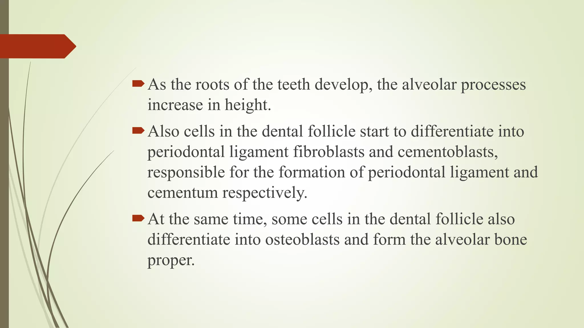 Development of periodontium | PPTX