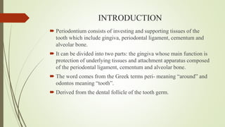 Development of periodontium | PPTX