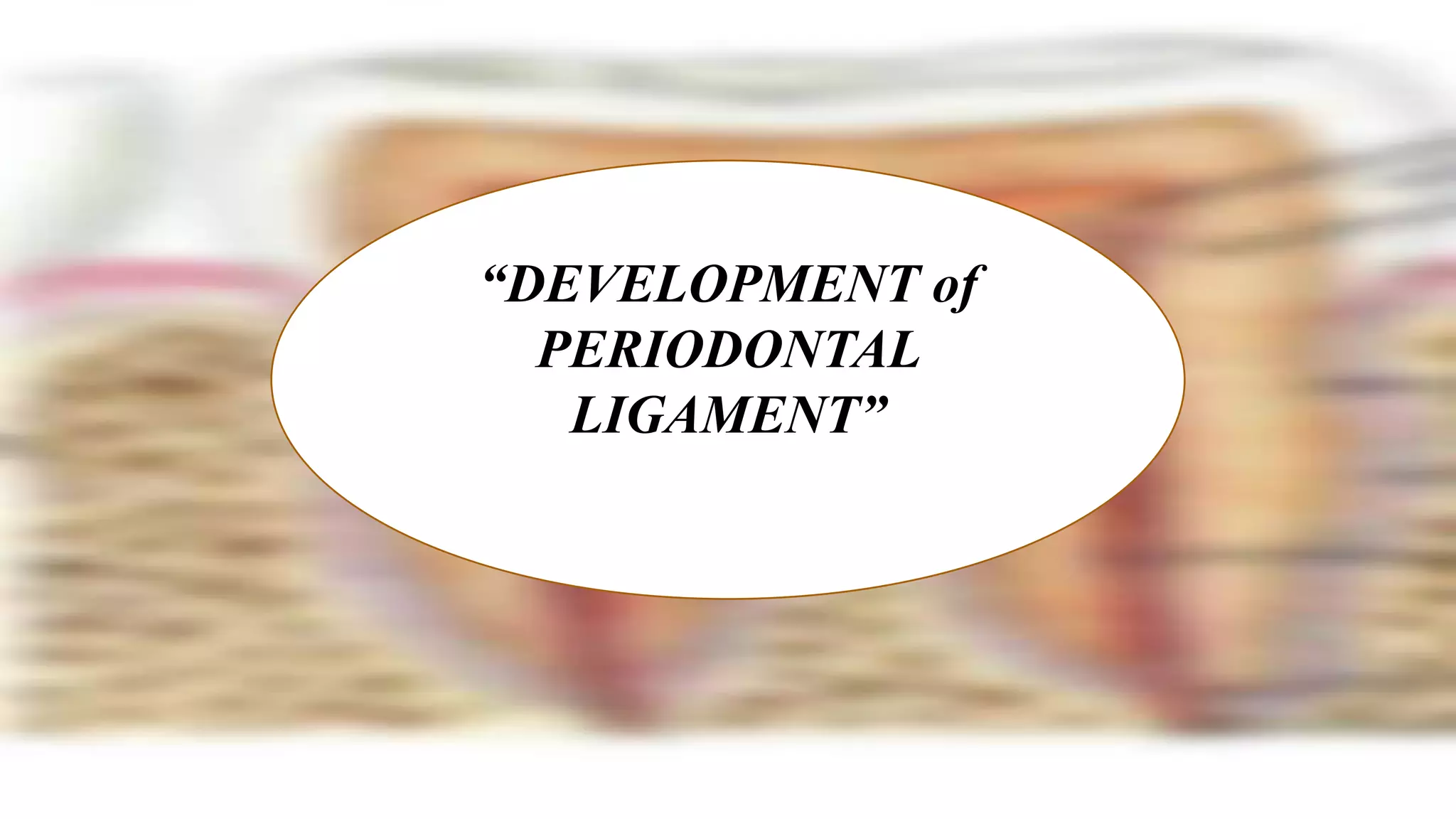 Development of periodontium | PPTX