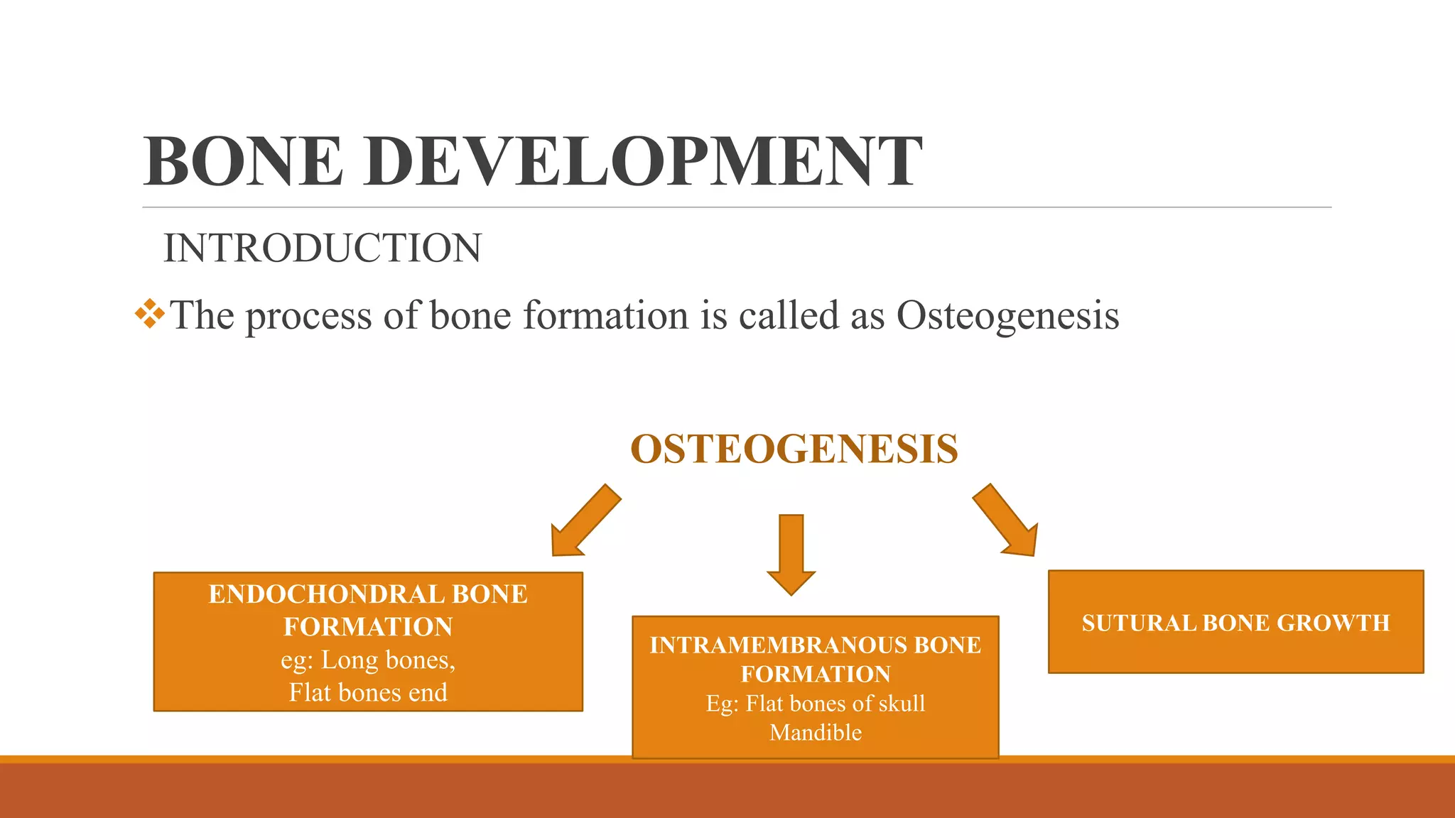 Development of periodontium | PPTX