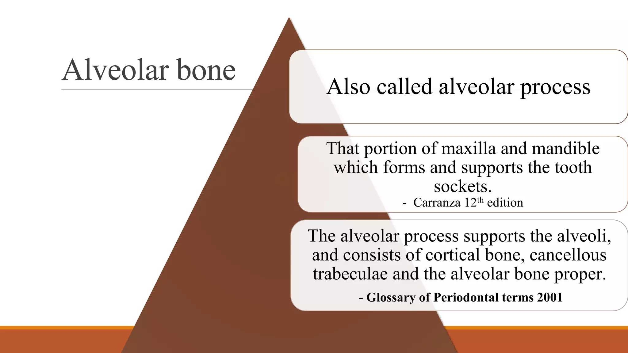 Development of periodontium | PPTX