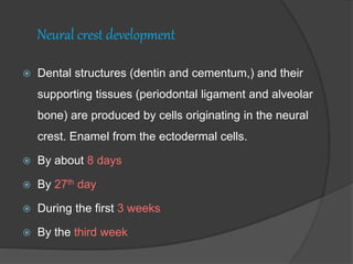 Development of Periodontium.pptx