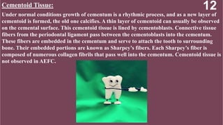 Development of periodontium | PPTX