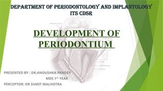 DEVELOPMENT_OF_PERIODONTIUM[1] anoushka.pptx
