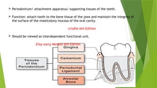 DEVELOPMENT_OF_PERIODONTIUM[1] anoushka.pptx