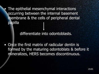 development of periodontium.ppt
