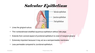 Development of Periodontium. focuses on development of periodontal ...