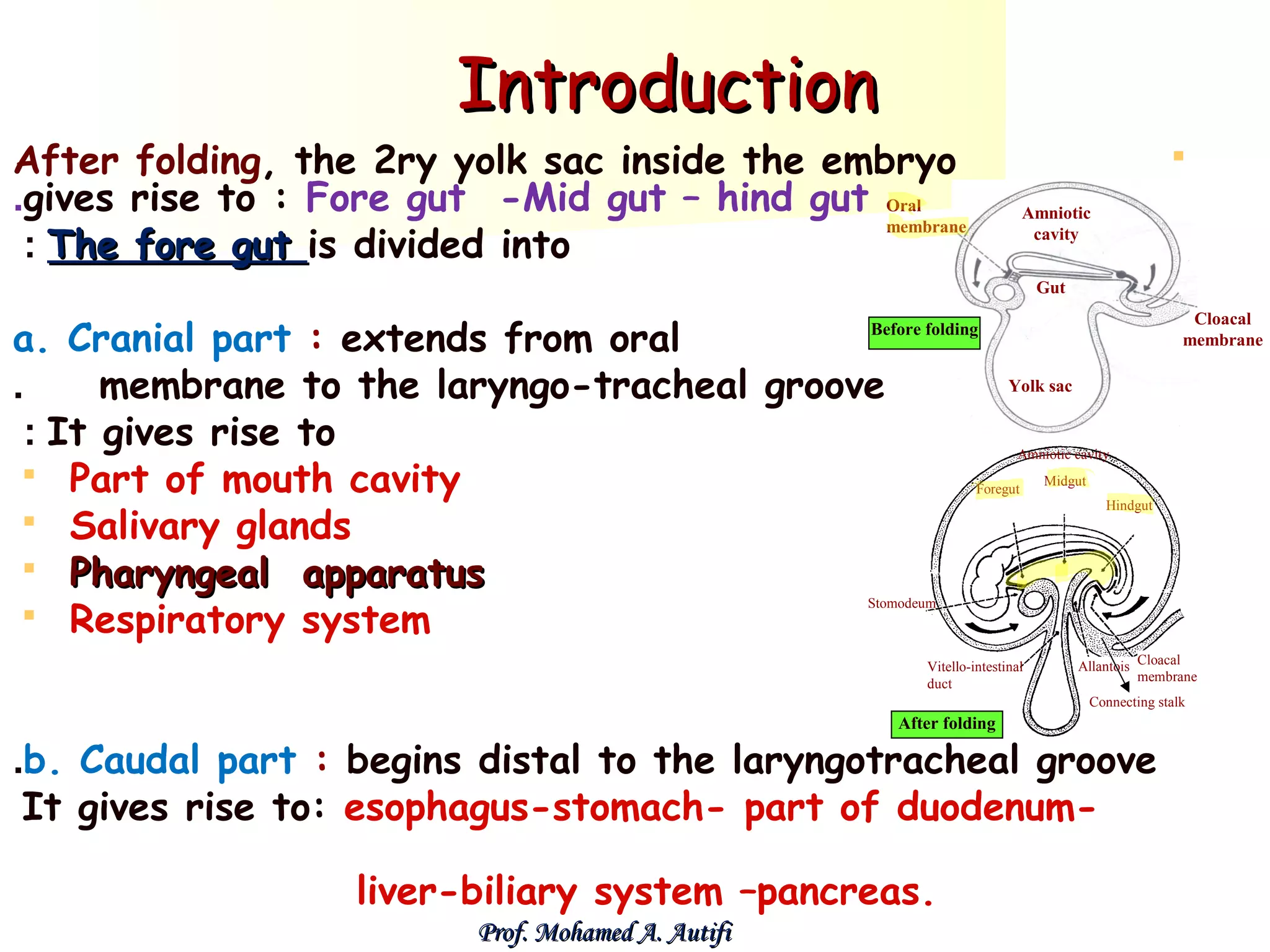 Development of pharyngeal apparatus | PPT