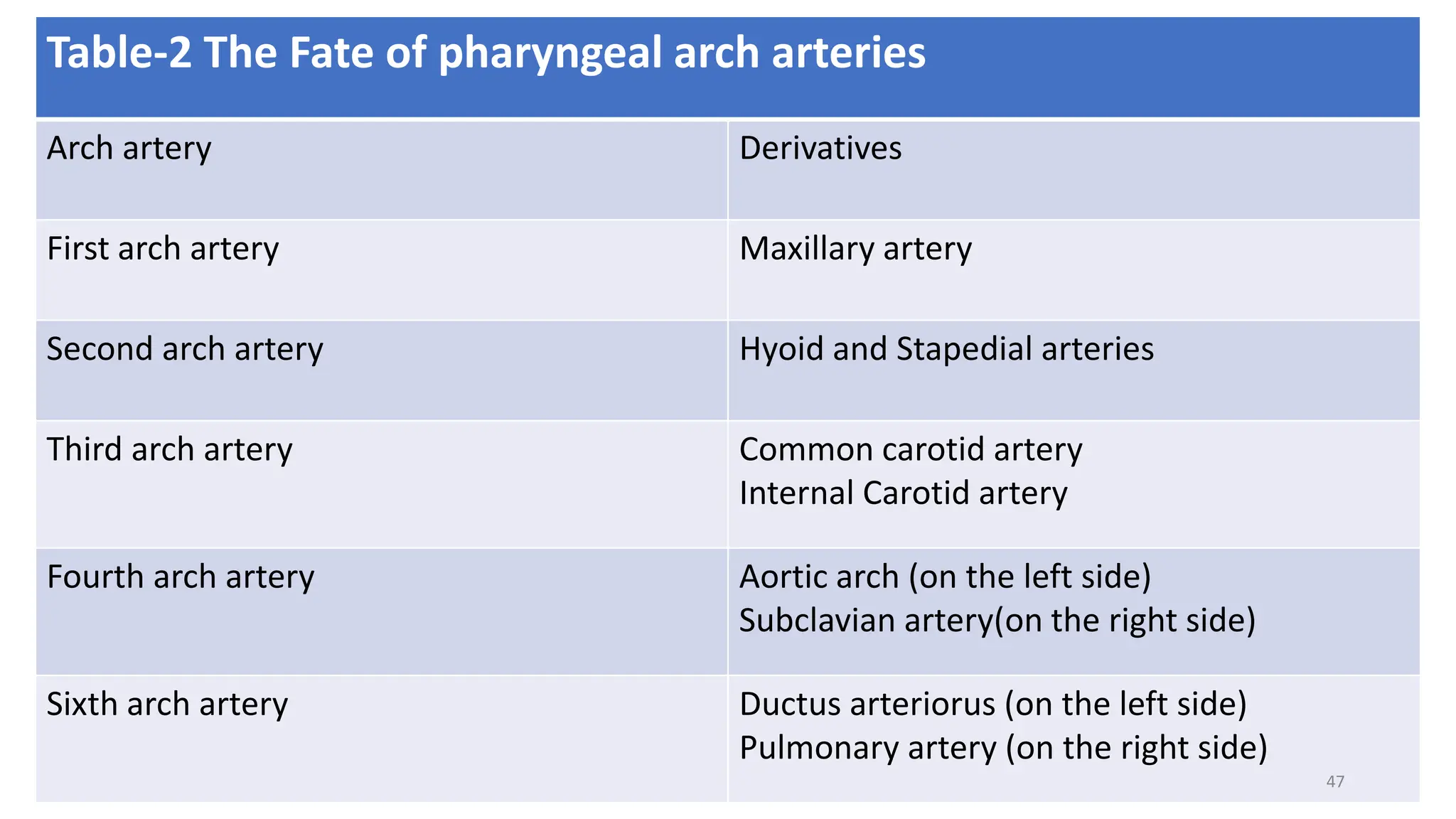 Development of pharyngeal arches, clefts and pouches.pptx