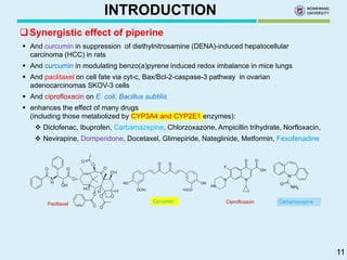 Development of Piperine Derivatives for antiobesity effect.pptx