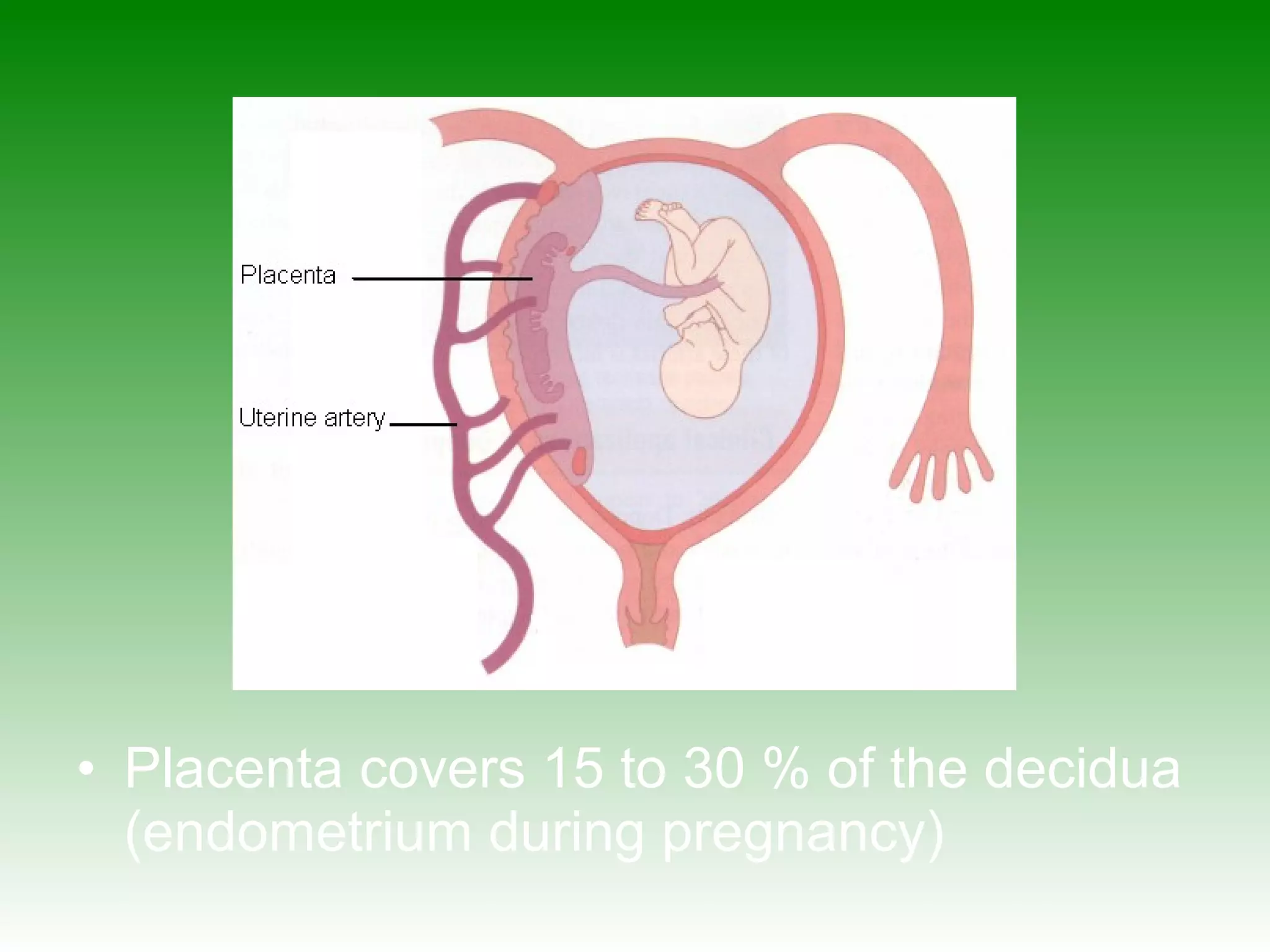 Development of placenta | PPT