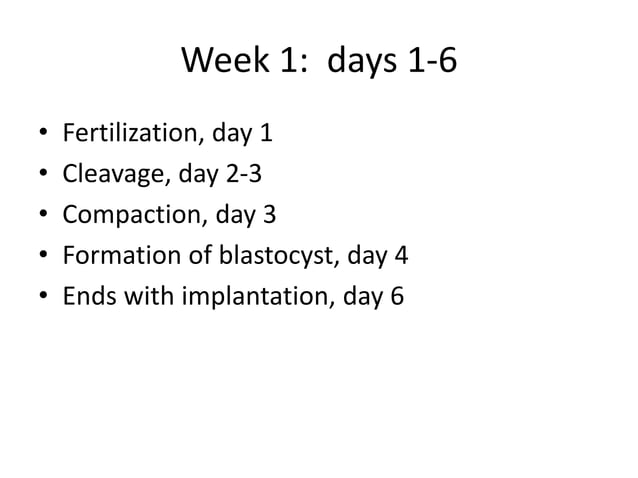 Development of Placenta.pptx | Infertility | Reproductive Health