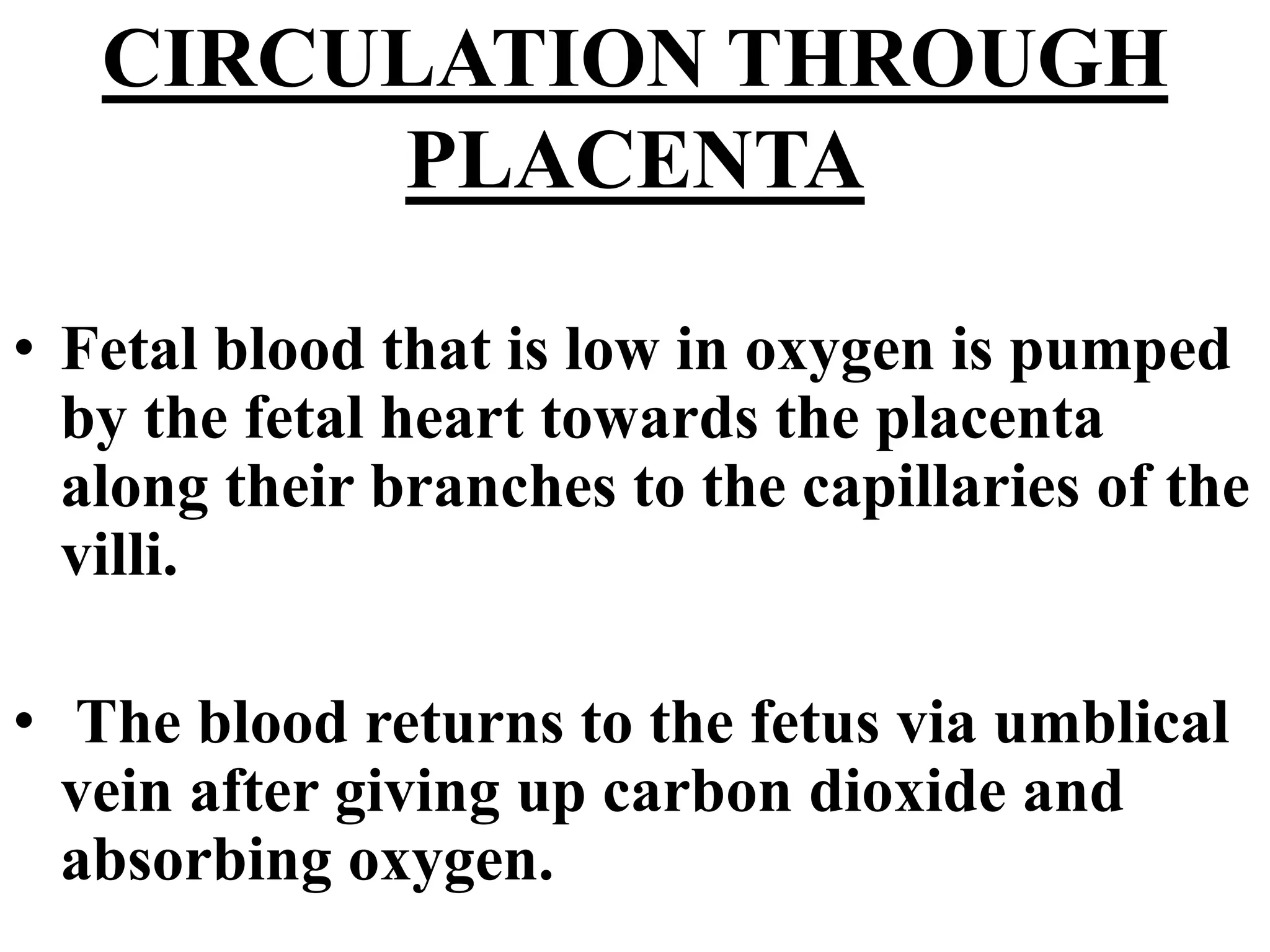 DEVELOPMENT OF PLACENTA AND FETUS.pptx