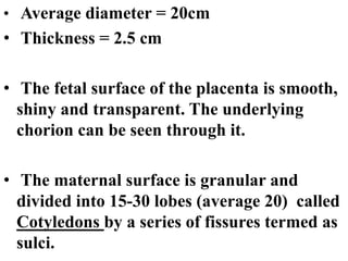 DEVELOPMENT OF PLACENTA AND FETUS.pptx