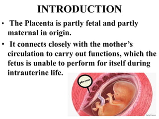 DEVELOPMENT OF PLACENTA AND FETUS.pptx