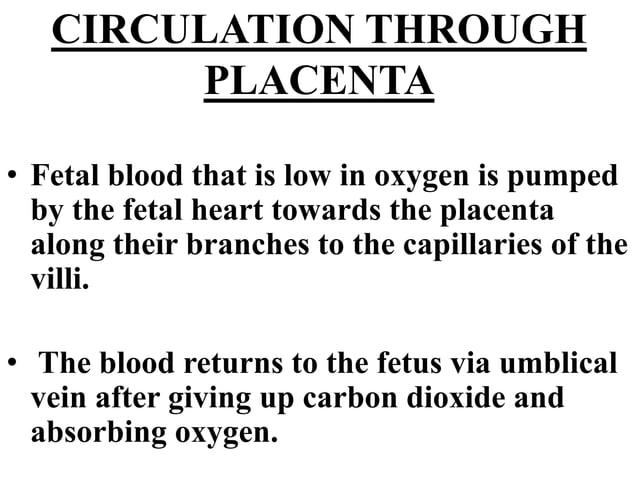 DEVELOPMENT OF PLACENTA AND FETUS.pptx