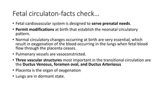 DEVELOPMENT OF PORTAL VEIN,ABDOMINAL WALL AND FETAL CIRCULATION.pptx