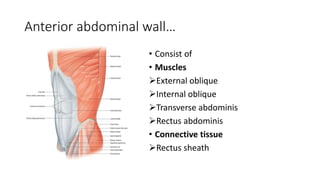 DEVELOPMENT OF PORTAL VEIN,ABDOMINAL WALL AND FETAL CIRCULATION.pptx