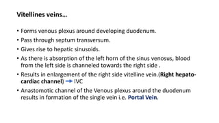 DEVELOPMENT OF PORTAL VEIN,ABDOMINAL WALL AND FETAL CIRCULATION.pptx