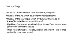DEVELOPMENT OF PORTAL VEIN,ABDOMINAL WALL AND FETAL CIRCULATION.pptx