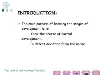 Development of primary and secondary dentition | PPT