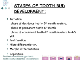 Development of primary and secondary dentition | PPT