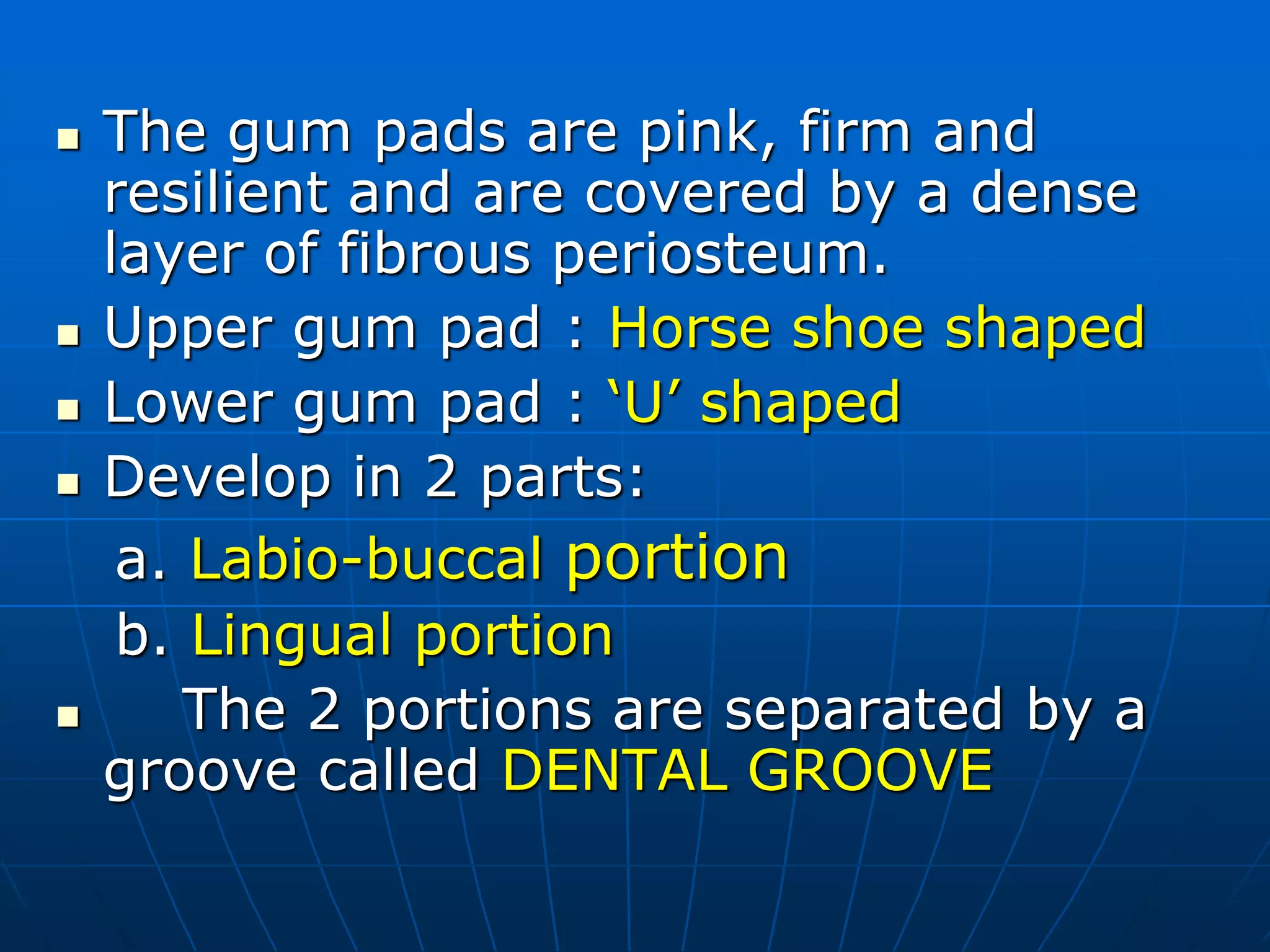 Development of primary dentition | PPT