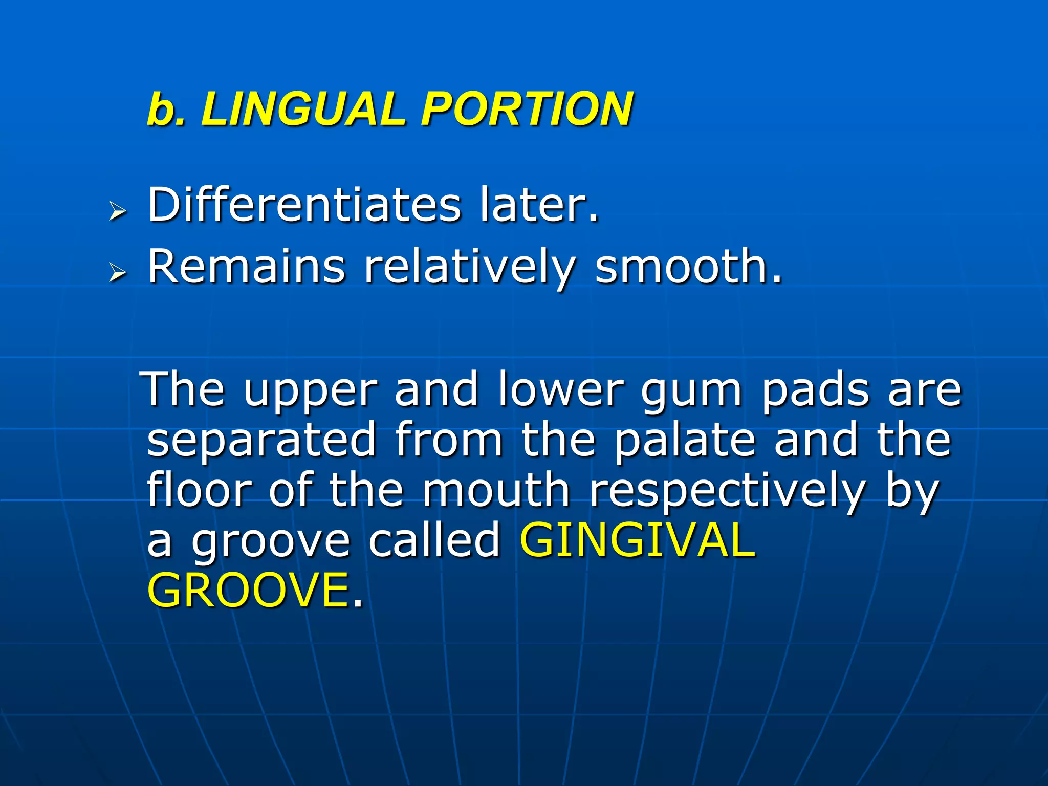 Development of primary dentition | PPT