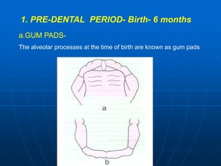 Development of primary dentition | PPT
