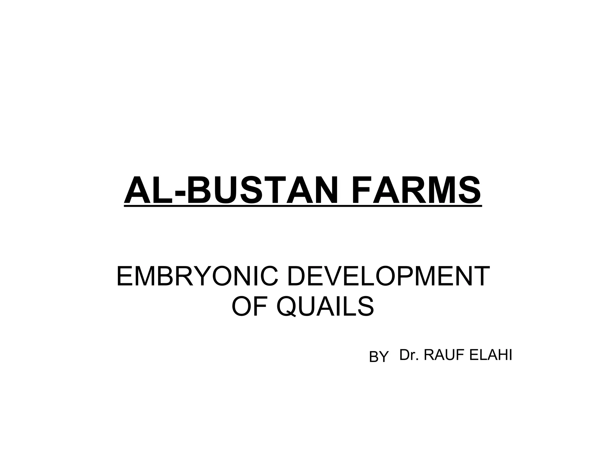 Development of quail embryo | PPT