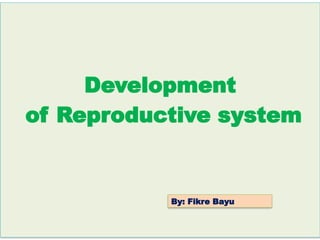 Development of Reproductive system-FB (1).pptx