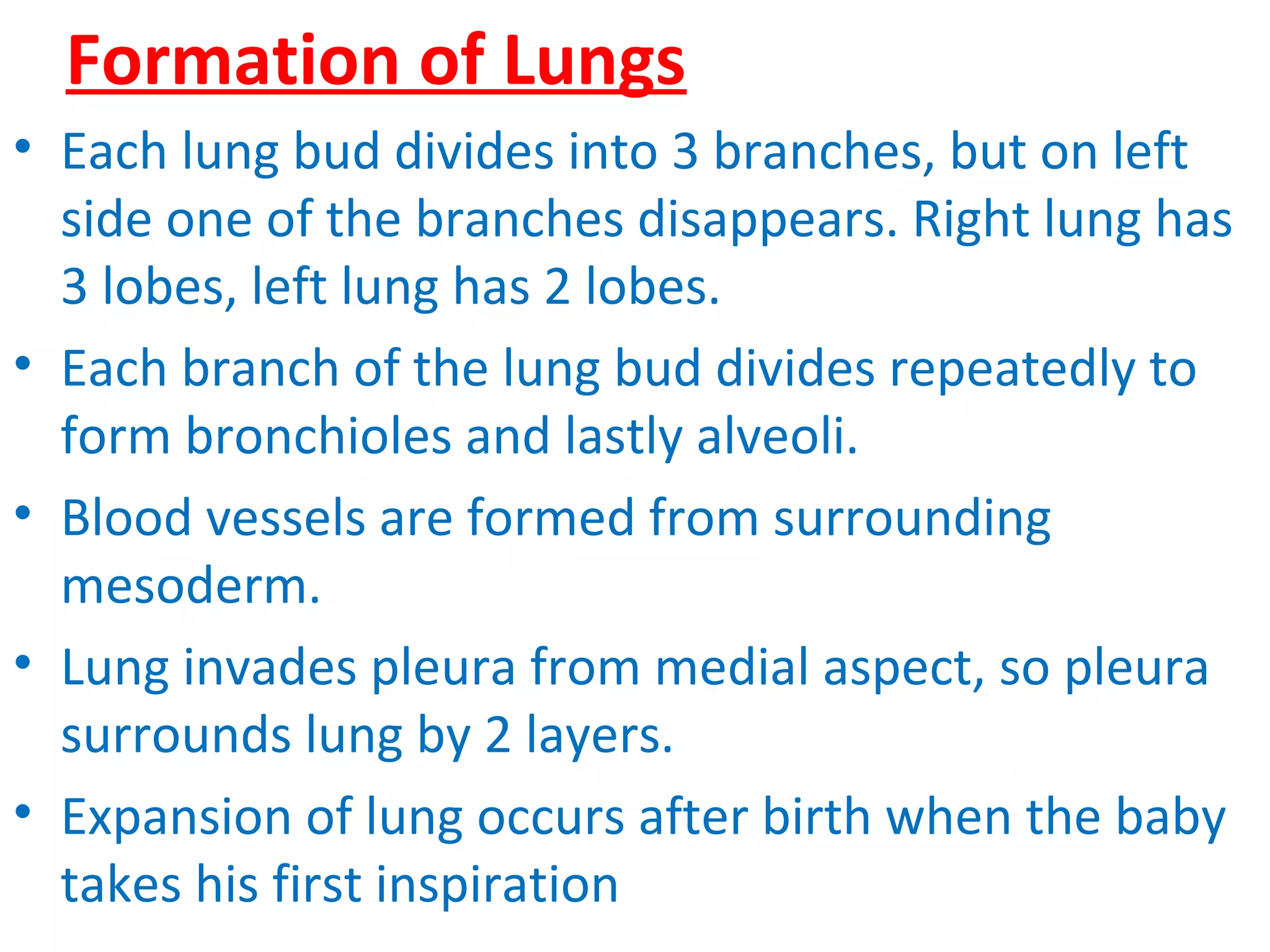 Development of Respiratory System (Special Embryology) | PPS