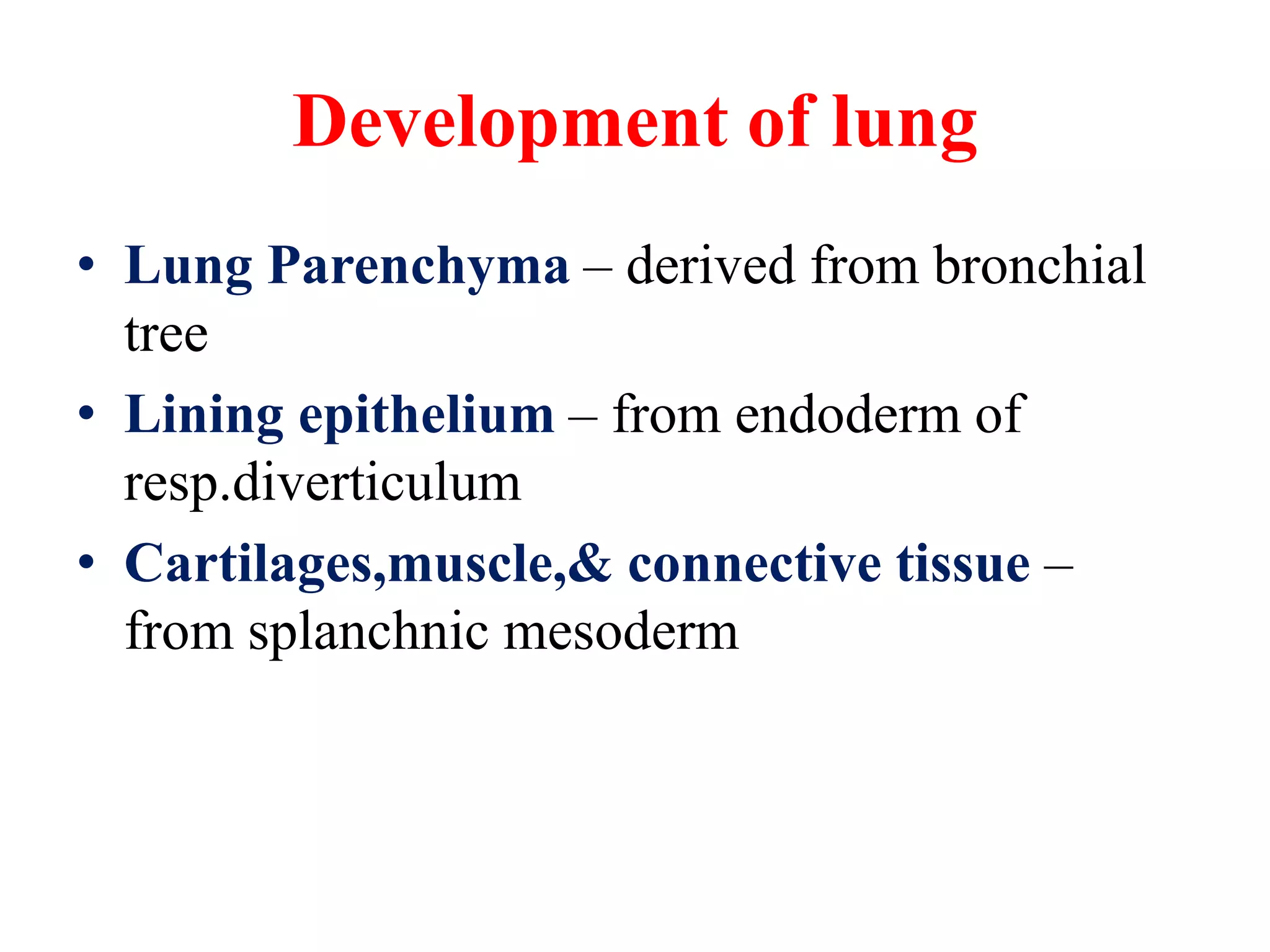Development of respiratory system | PPTX