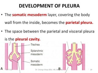 DEVELOPMENT OF RESPIRATORY SYSTEM by Shapi. MD.pdf