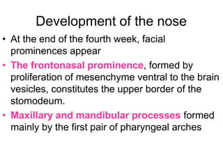 developmentofrespiratorysystem.pptx