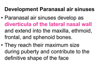developmentofrespiratorysystem.pptx