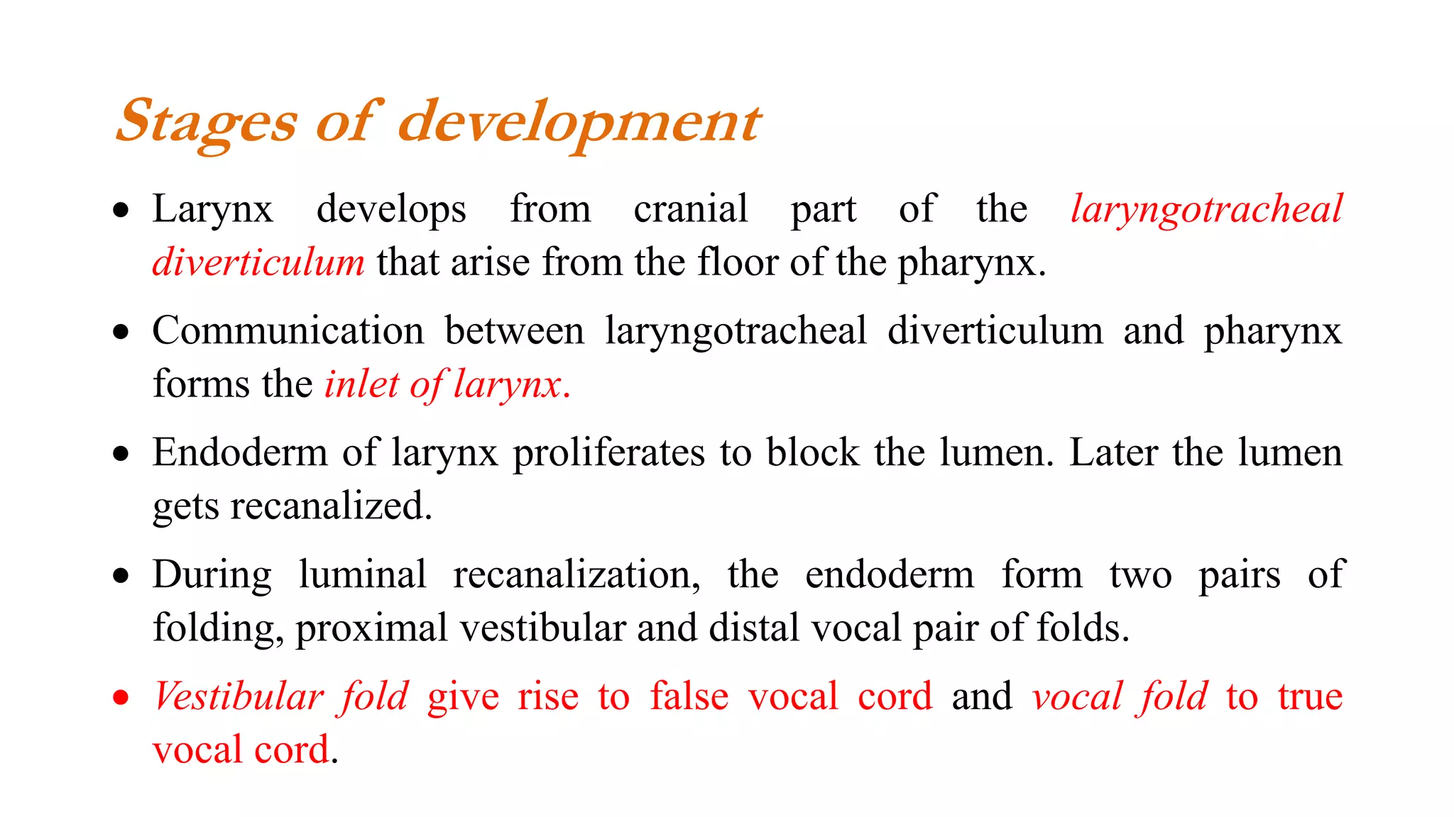 Development of Respiratory System.pptx