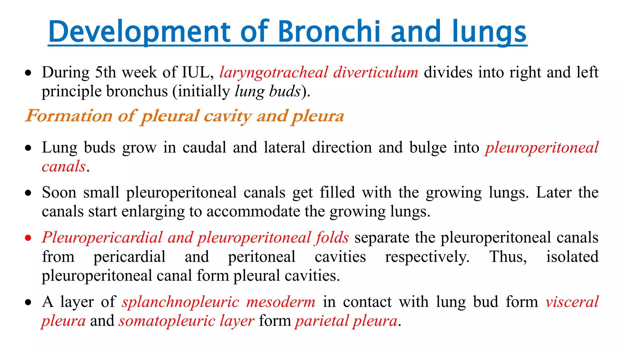 Development of Respiratory System.pptx