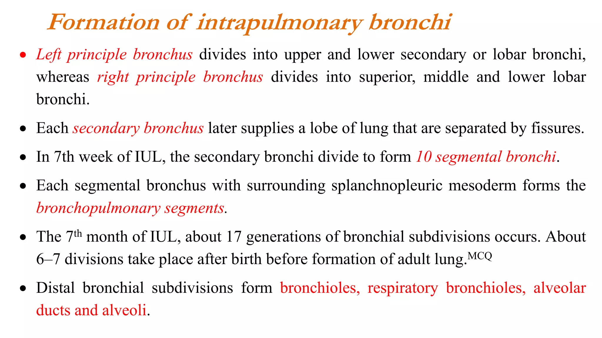 Development of Respiratory System.pptx