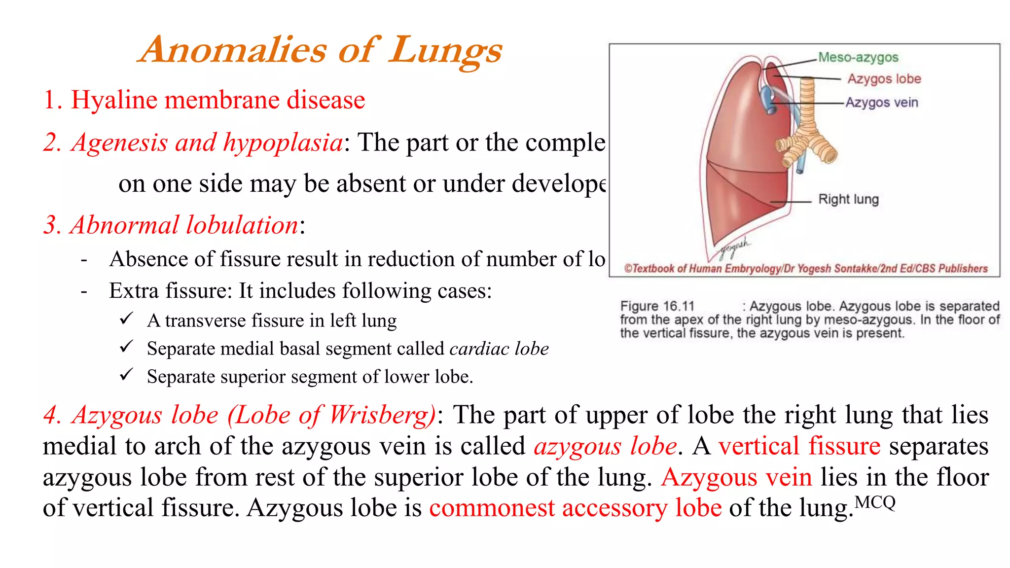Development of Respiratory System.pptx
