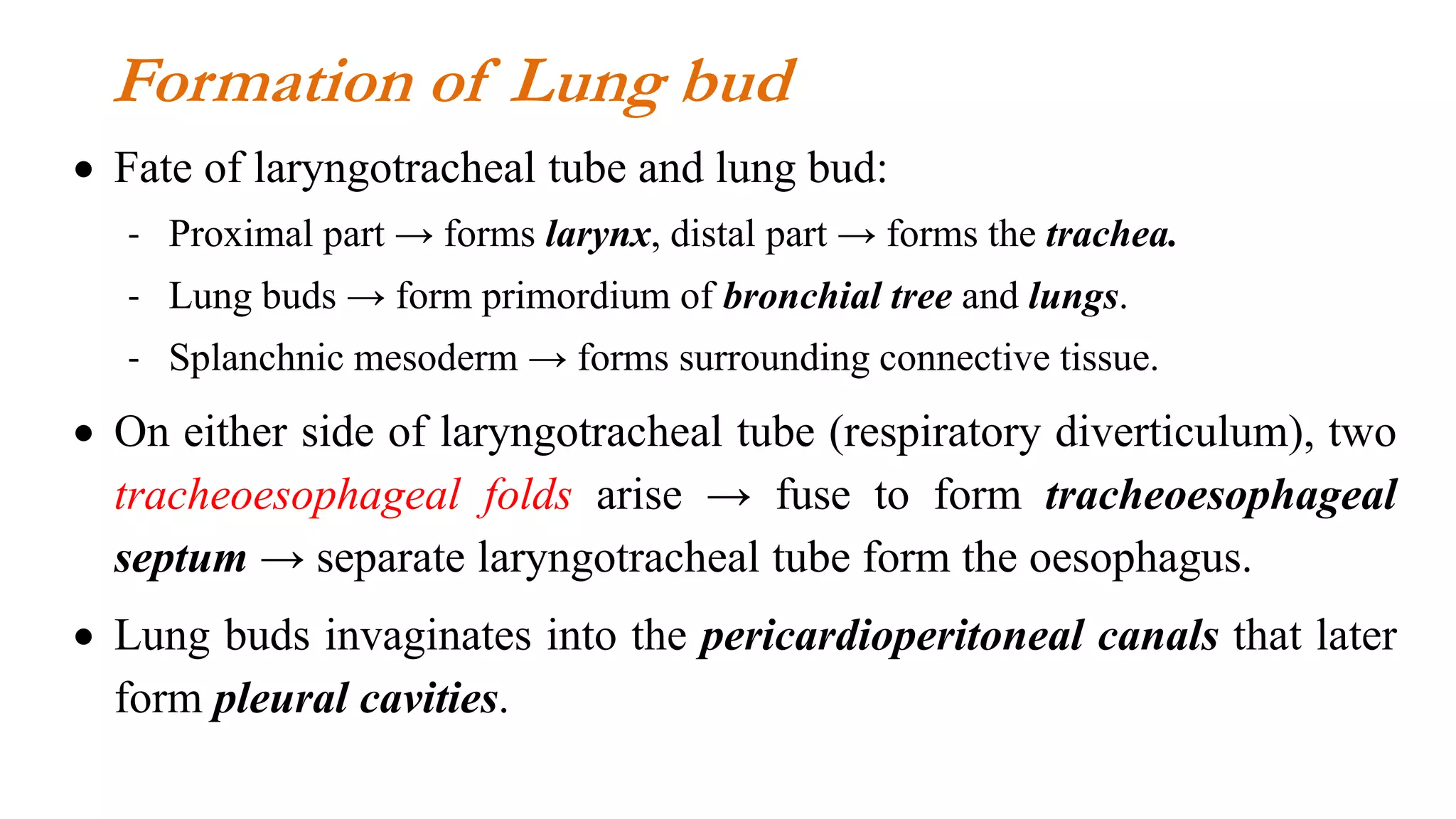 Development of Respiratory System.pptx