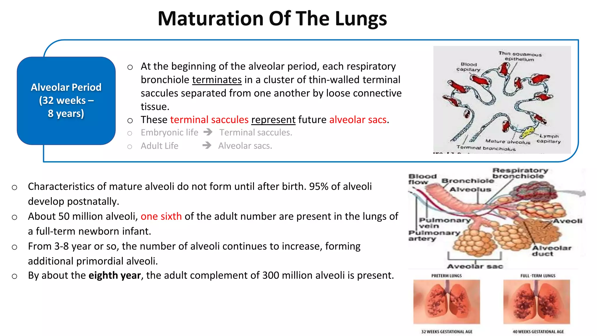 development of respiratory sysytem.pptx
