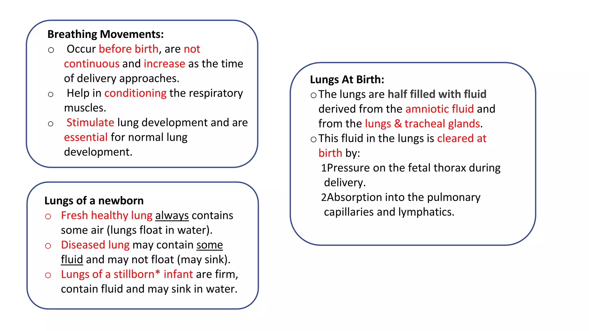 development of respiratory sysytem.pptx