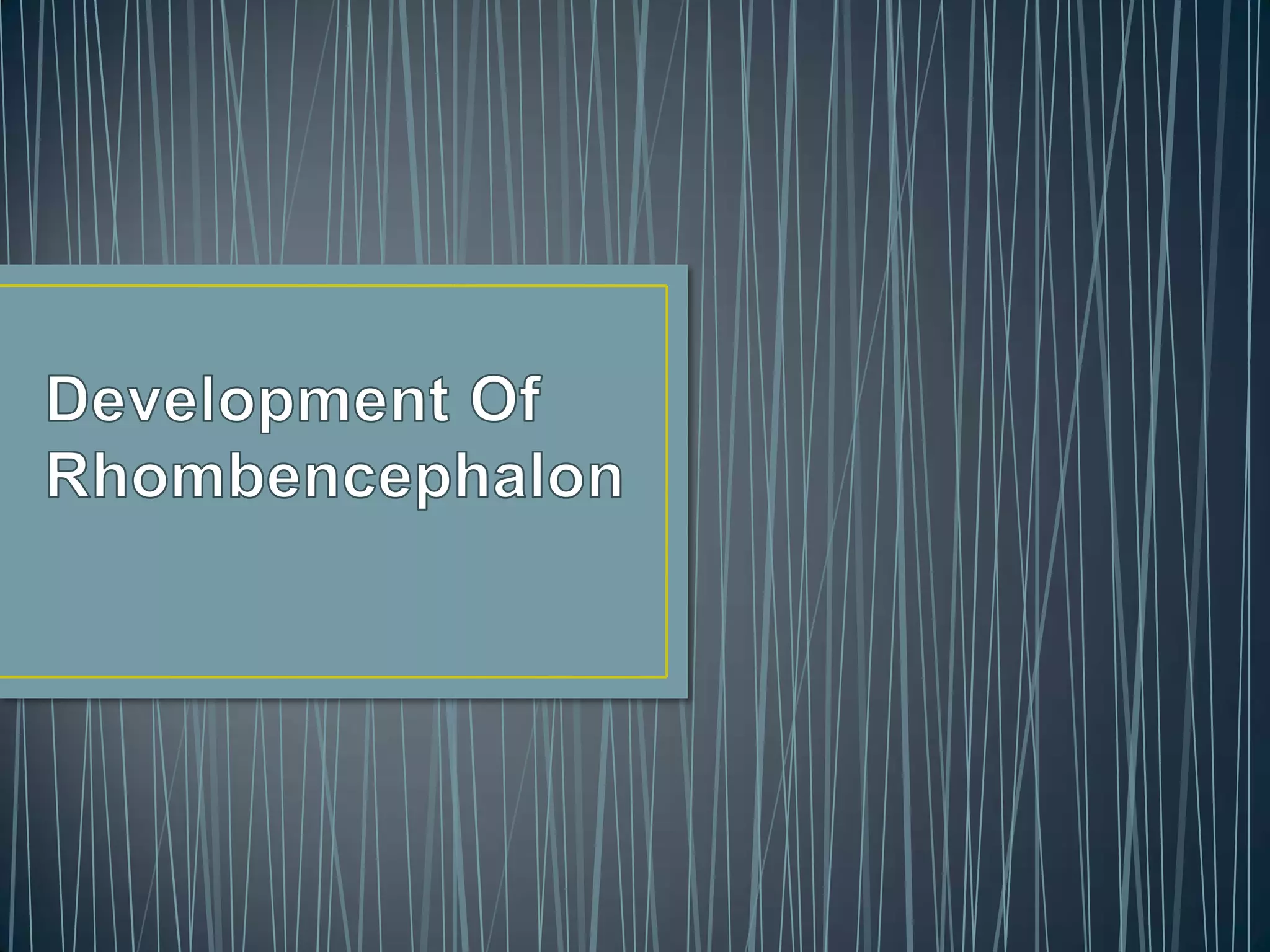 Development of rhombencephalon | PPTX