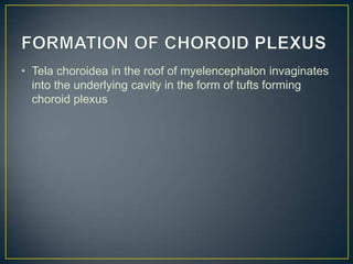 Development of rhombencephalon | PPTX