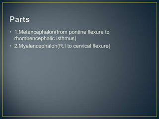 Development of rhombencephalon | PPTX
