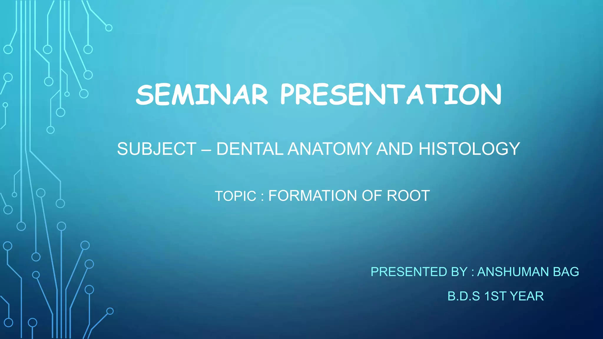 Development of Root | PPTX