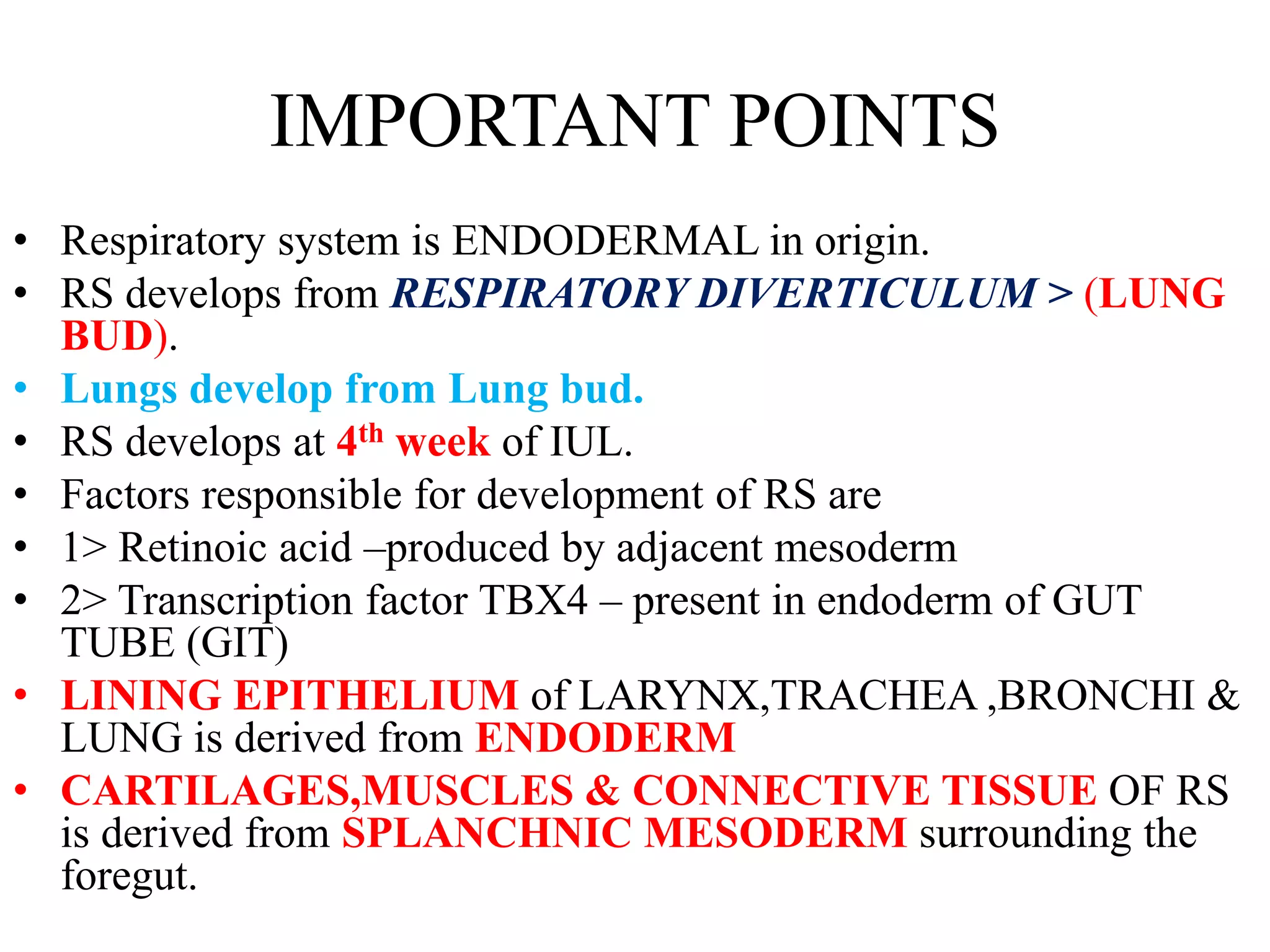 Development of Respiratory System i lung bud & larynx | PPTX
