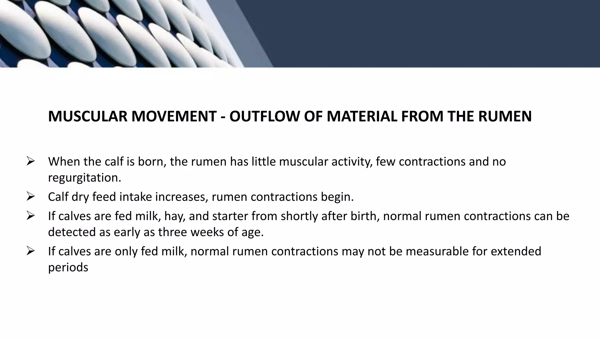 DEVELOPMENT OF RUMEN.pptx